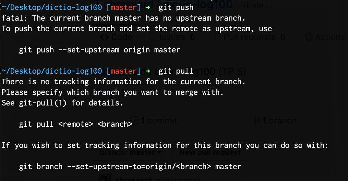 Что означает "The current branch master has no upstream branch"?