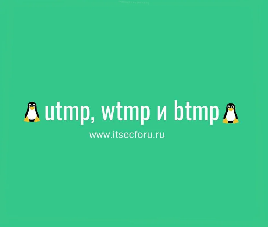 Var log btmp: что это и как работает в Linux